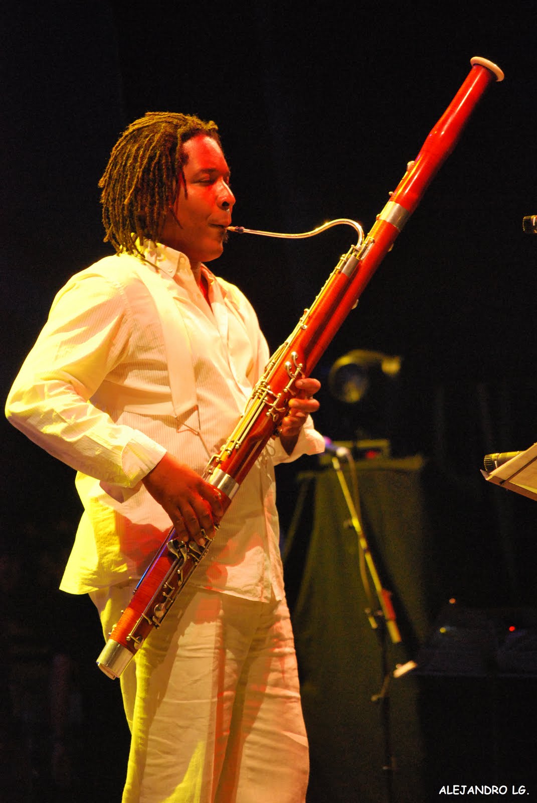 O que é um Fagote? - Blogmax