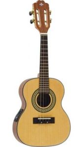 A alma do carnaval: conheça os instrumentos musicais que movem o Samba ...